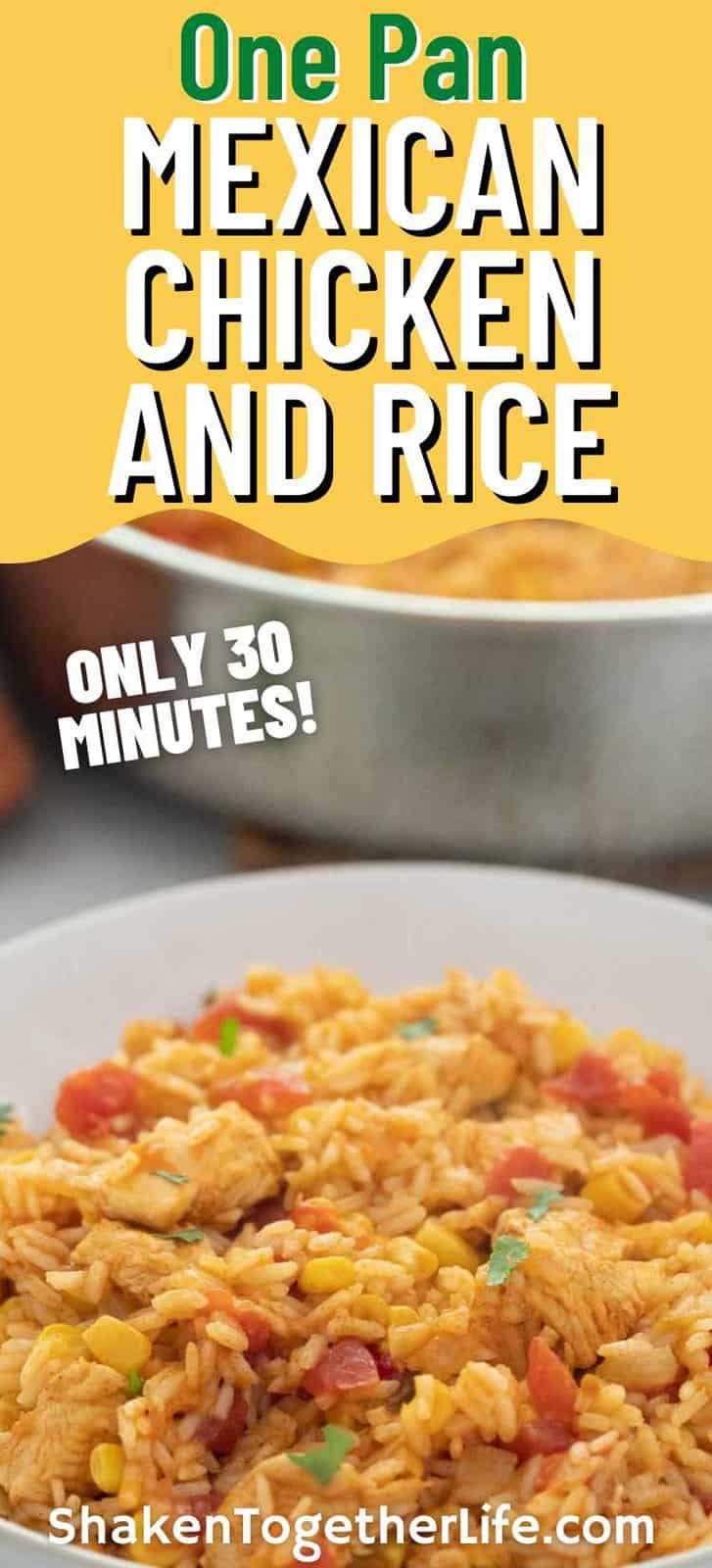 One Pan Mexican Chicken and Rice - Shaken Together