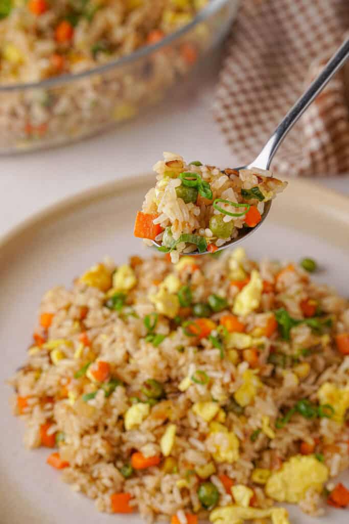 Easy Egg Fried Rice - 15 Minute Recipe - Shaken Together