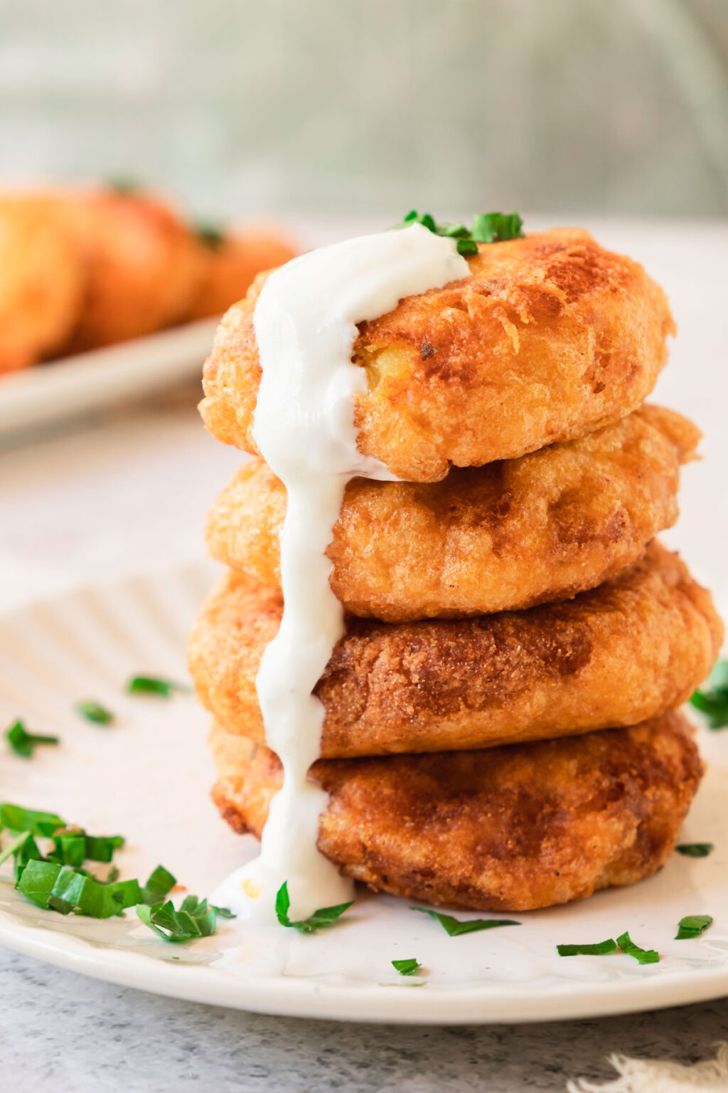 Easy Potato Fritters - Shaken Together